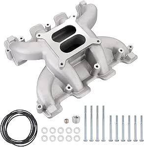Amazon.com: Dokili Dual Plane Carbureted Intake Manifold for G.M LS1 ...