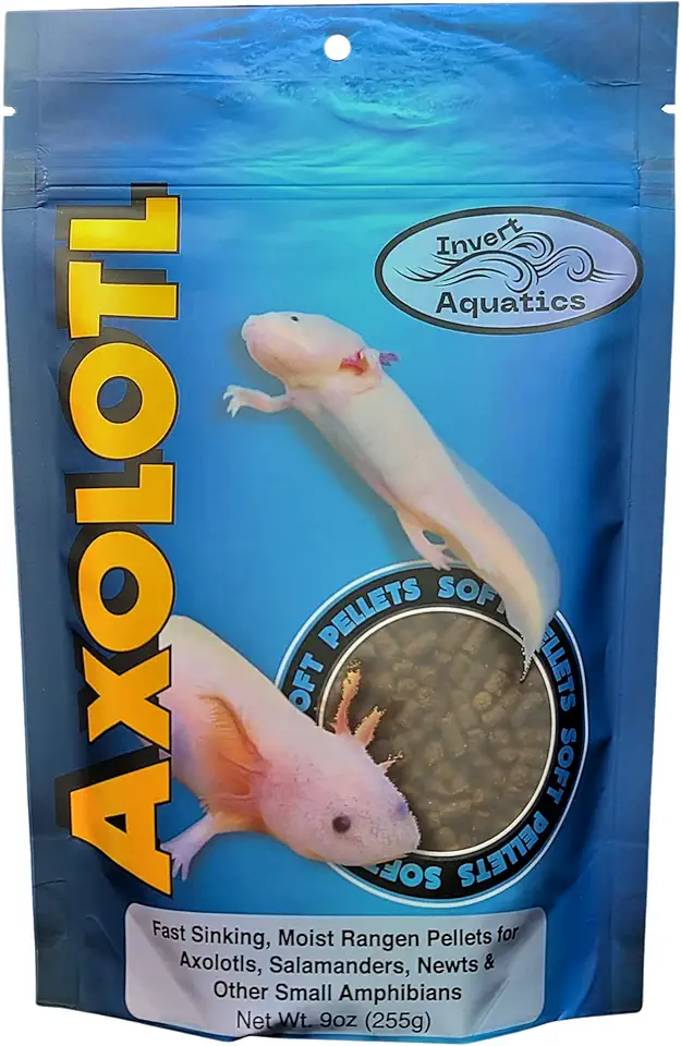 Is An Axolotl Poisonous? Here's What You Need To Know | PetShun