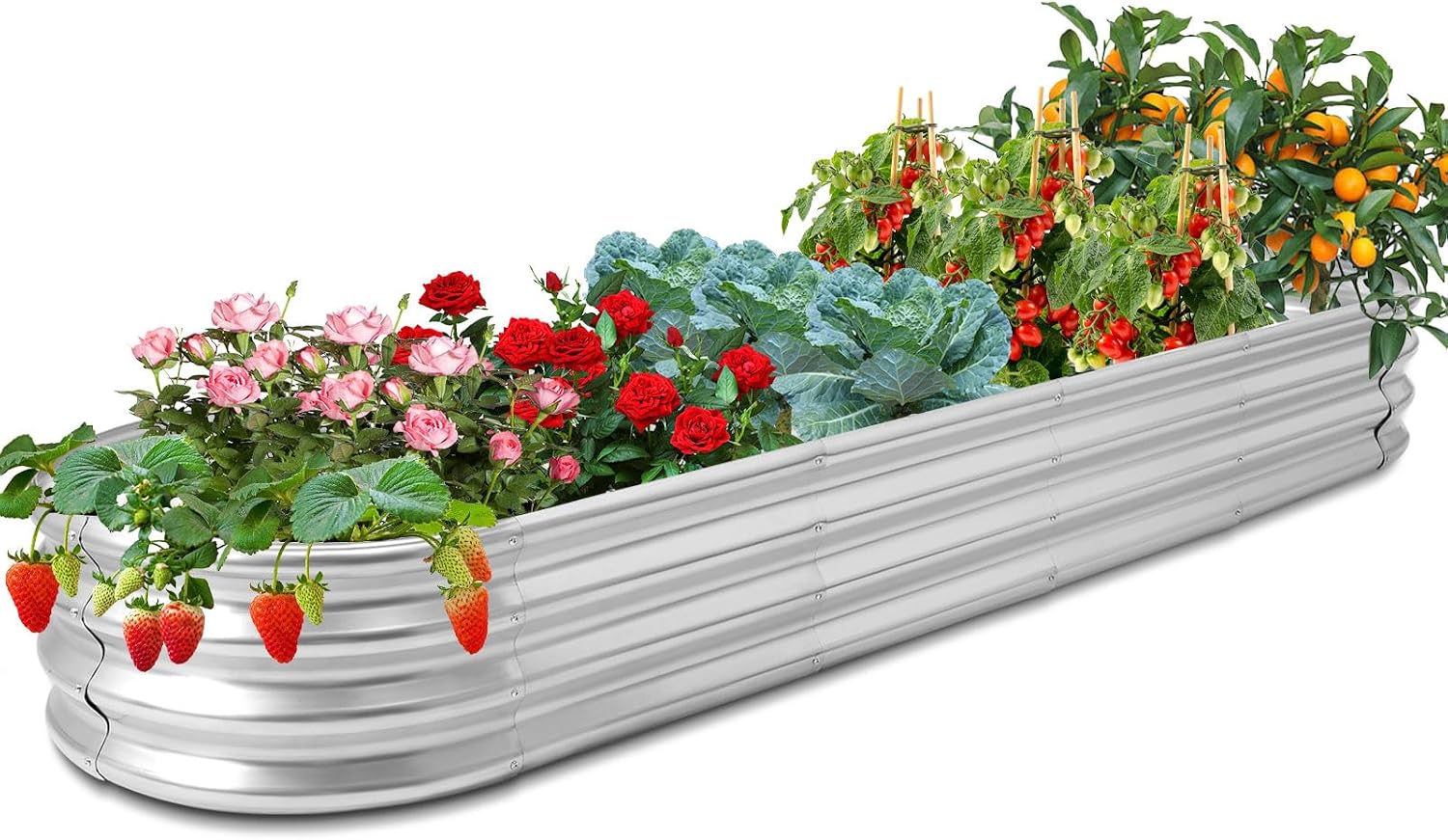 Amazon.com: Homdox Oval Wave 8 * 2 * 1FT Galvanized Raised Garden Bed ...