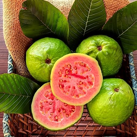 Amazon.com : NiRwa 50pcs Tropical Strawberry Guava Organic Pink Guava ...