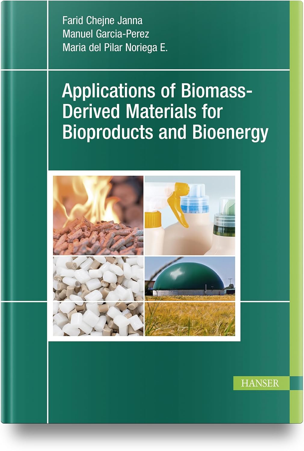 Applications of Biomass-Derived Materials for Bioproducts and Bioenergy ...