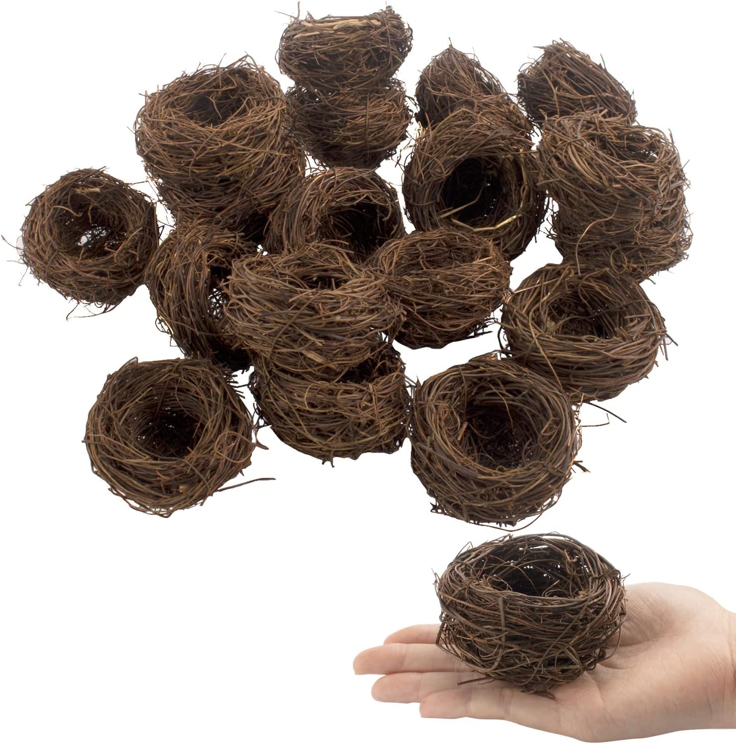 Amazon.com: Exasinine 18 Pcs 3'' Mini Artificial Bird Nest for Crafts ...