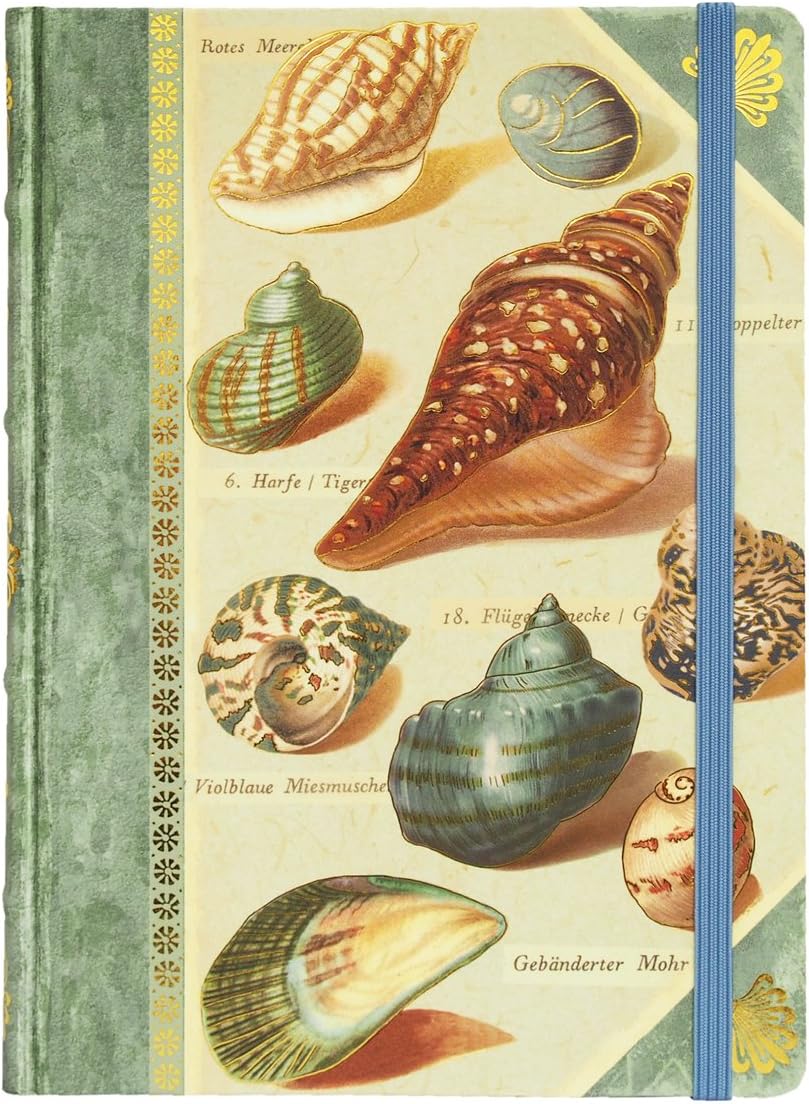 Amazon.com : Punch Studios Library Journal Diary Sea Shells : Office ...