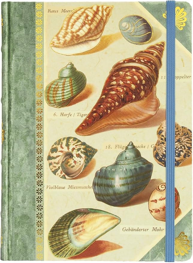Amazon.com : Punch Studios Library Journal Diary Sea Shells : Office ...