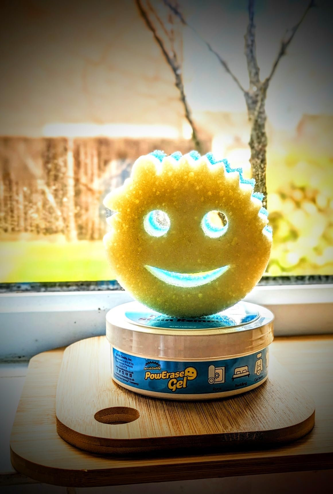 Scrub Daddy Powerase Gel Fabric Stain Remover - Multipurpose Upholstery ...