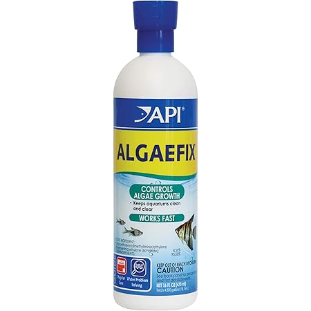API Algaefix Algae Control (16 oz) : Amazon.in: Pet Supplies