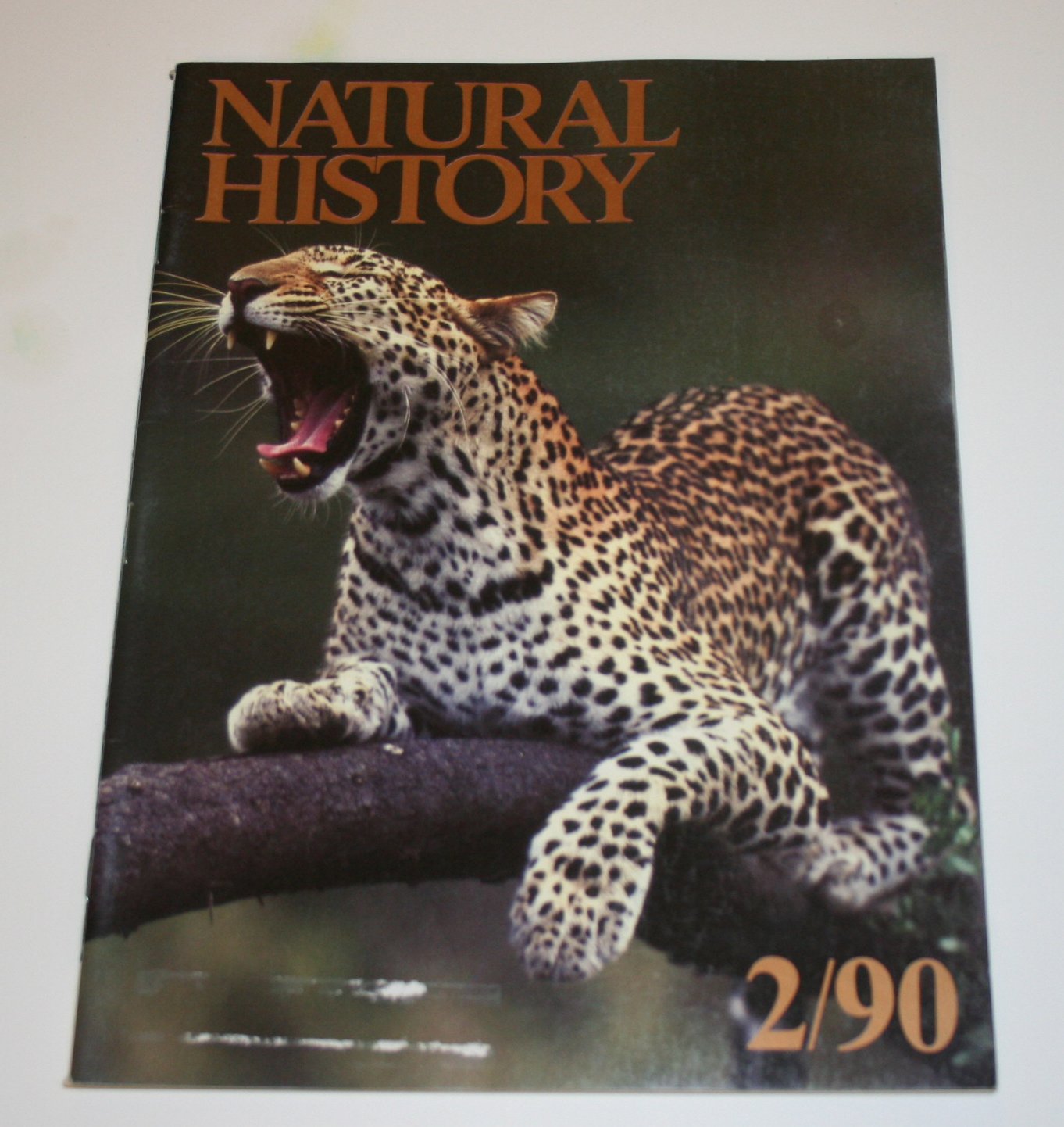 Natural History Magazine, February 1990: Amazon.com: Books