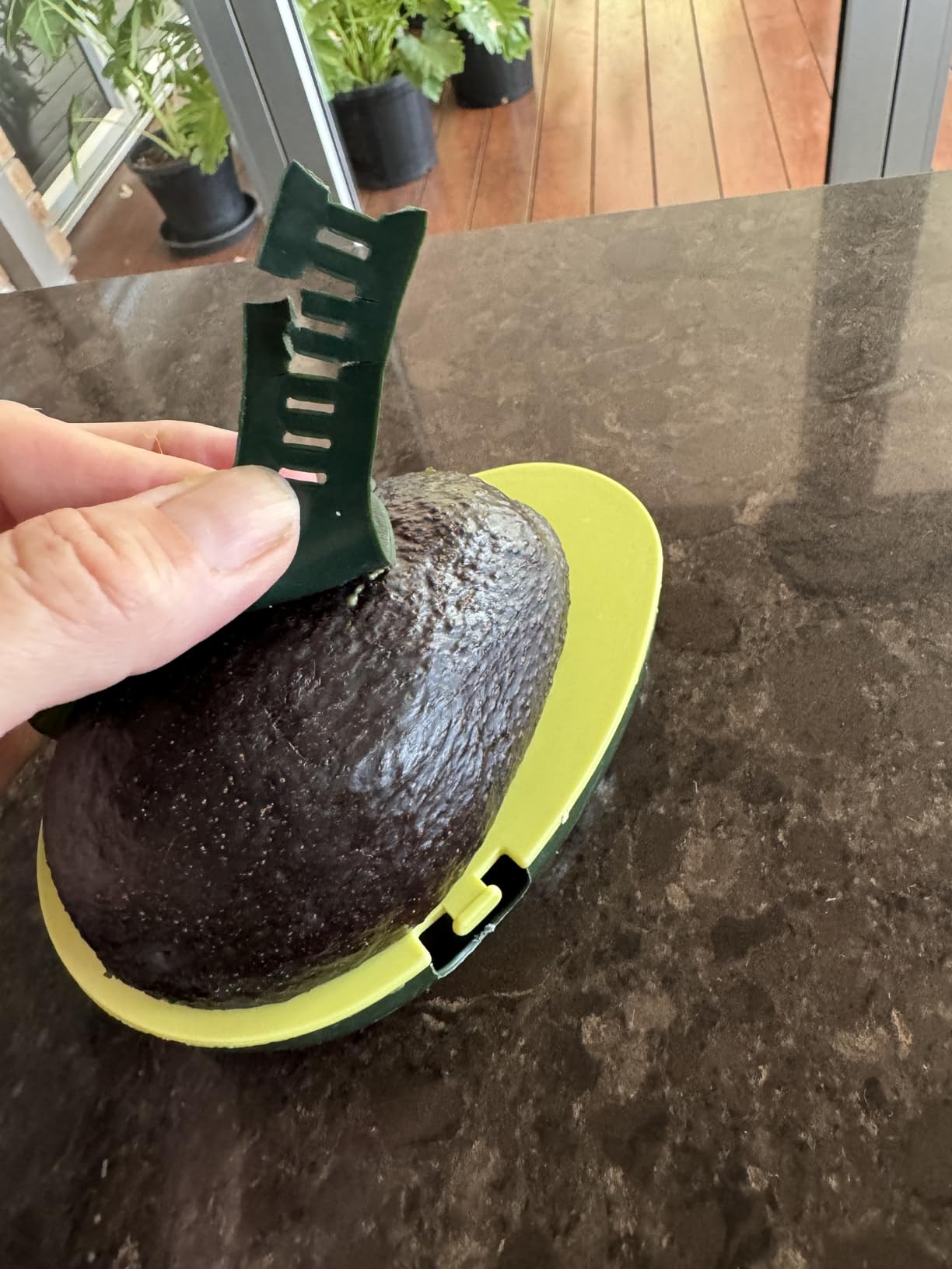 Wiltshire Avocado Saver: Containers: Amazon.com.au