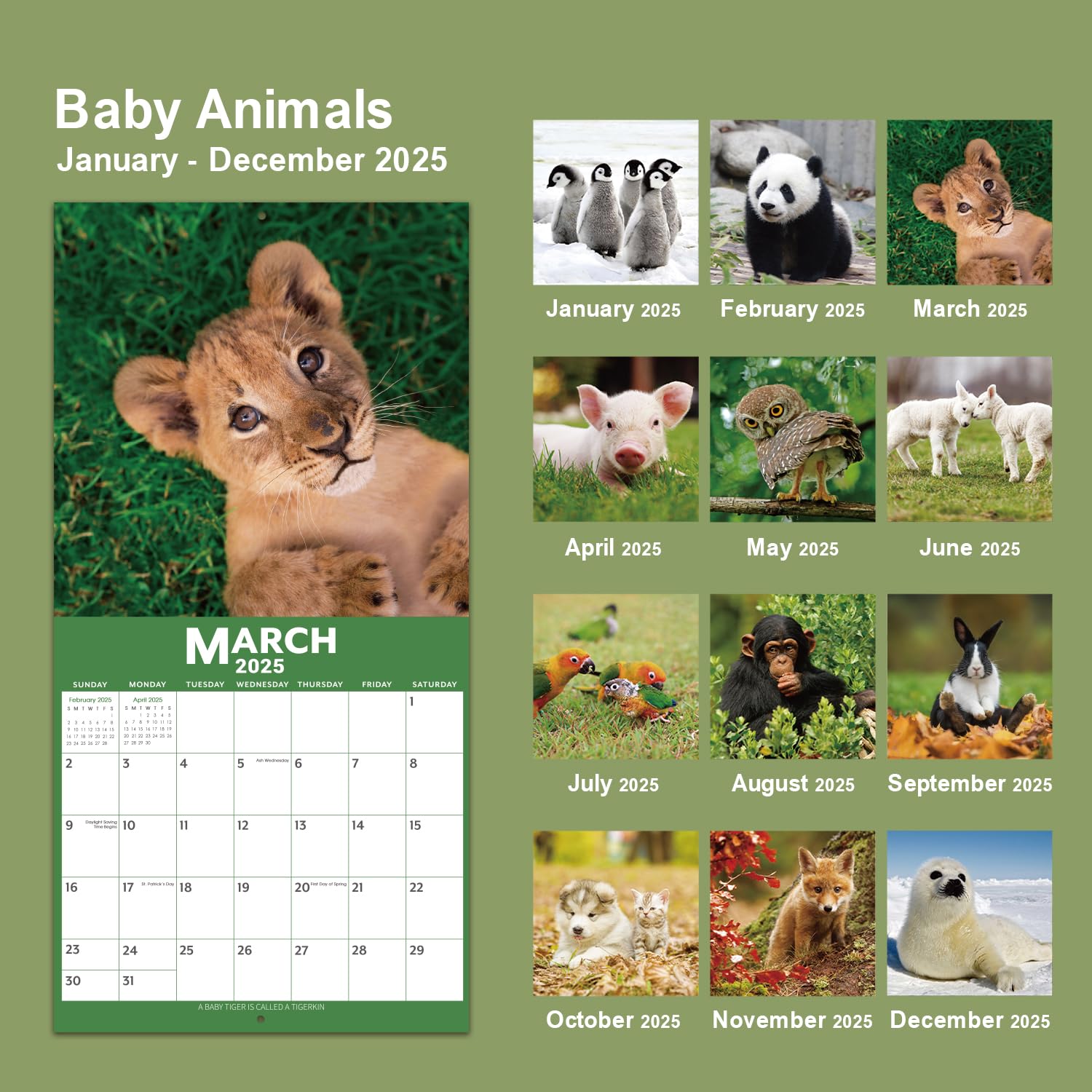 Snapklik.com : Calendar 2025 - Wall Calendar, 12" X 24"(Open), 12 Month ...