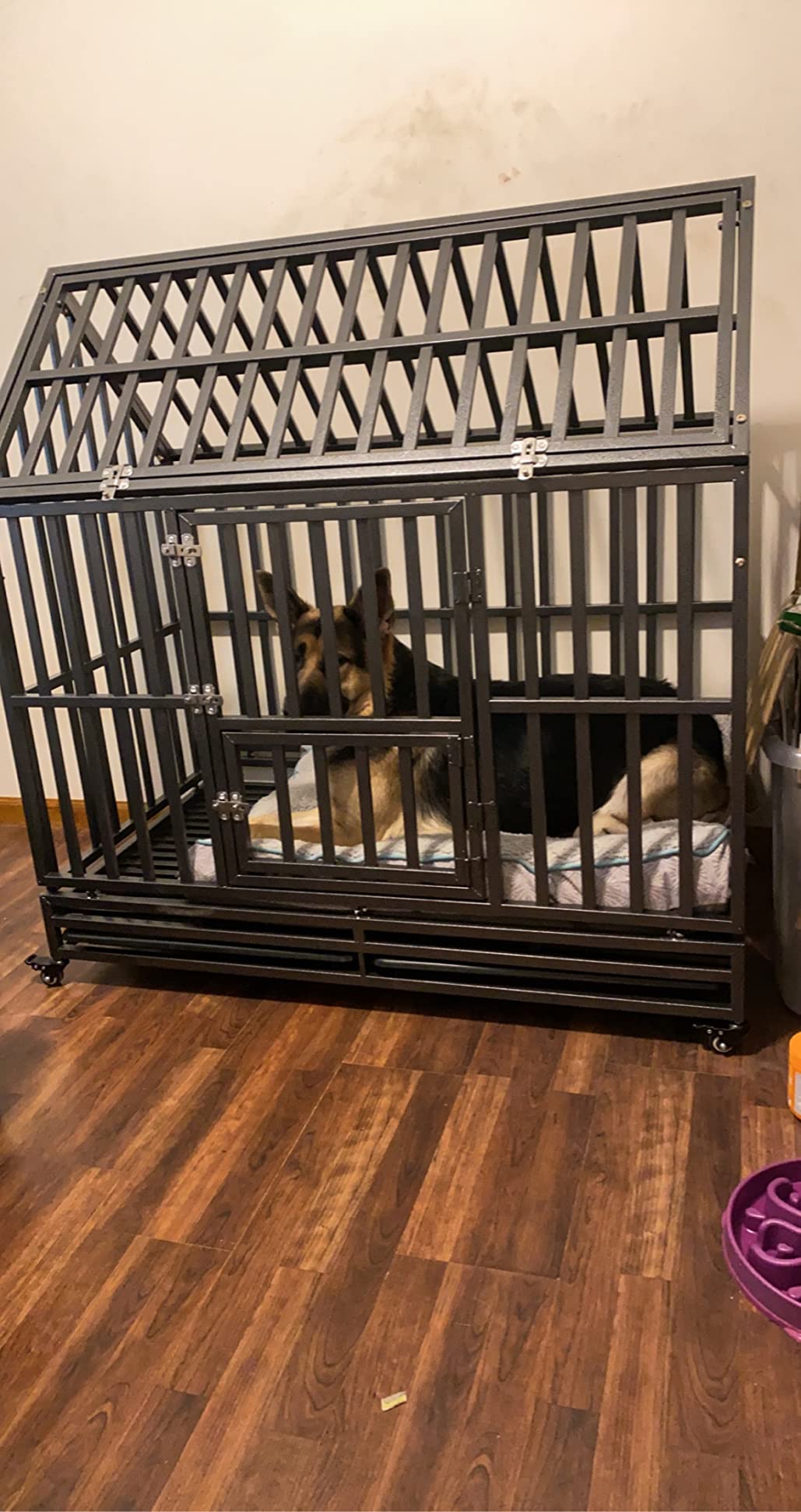 $11/mo - Finance LUCKUP Heavy Duty Dog Cage Metal Kennel and Crate for ...