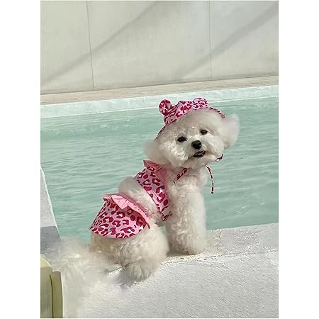 Amazon.com : QWINEE 2Pcs Dog Bikini Sets Ruffle Trim Puppy Bikini and ...