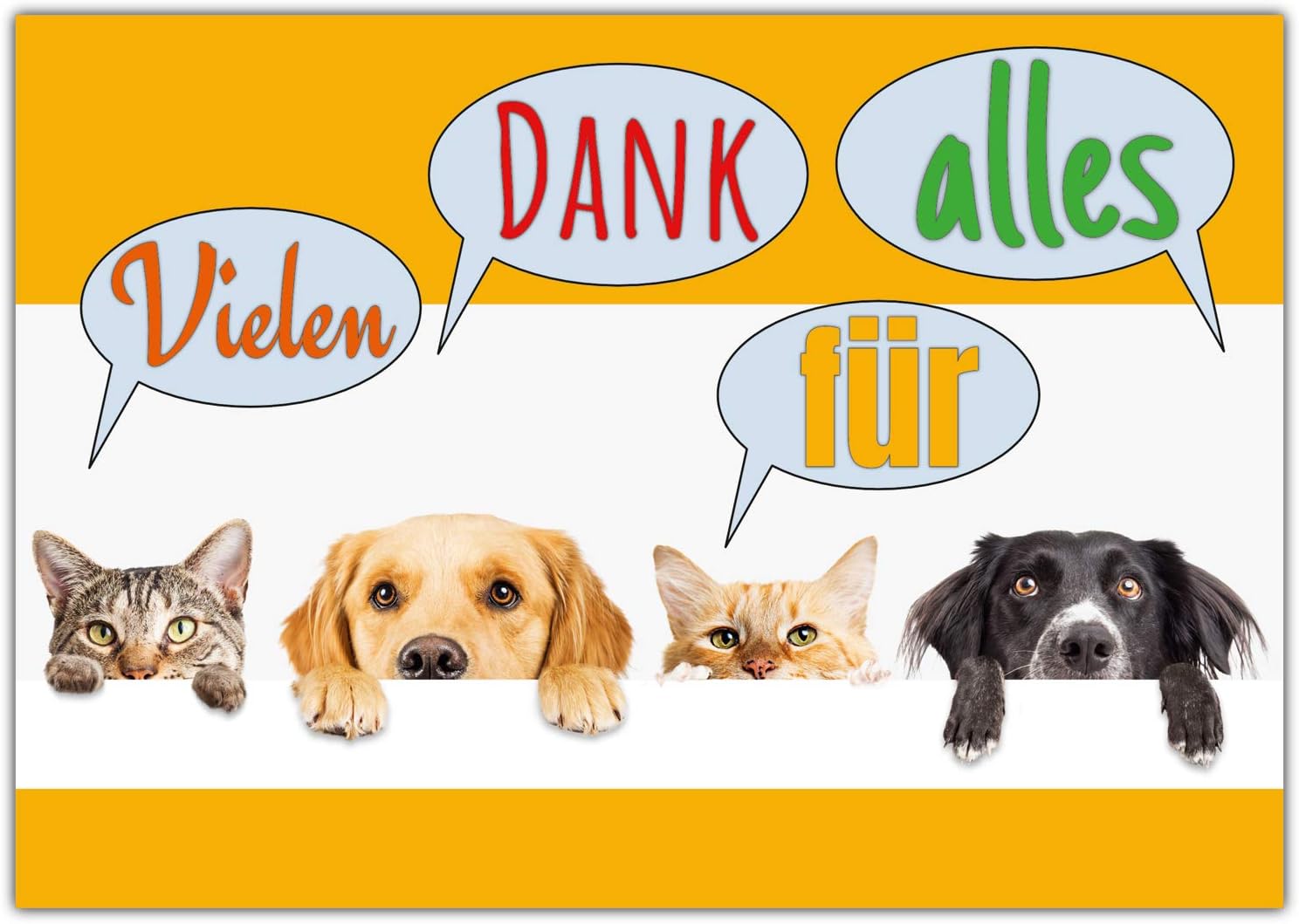 A4 XXL Dankeskarte HUNDE & KATZEN mit Umschlag - edle Klappkarte ...