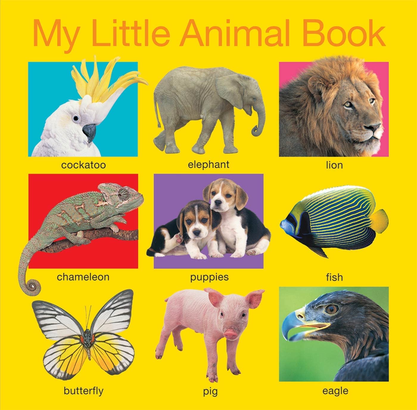 My Little Animal Book (My Little Books): Priddy, Roger: 9780312514617 ...
