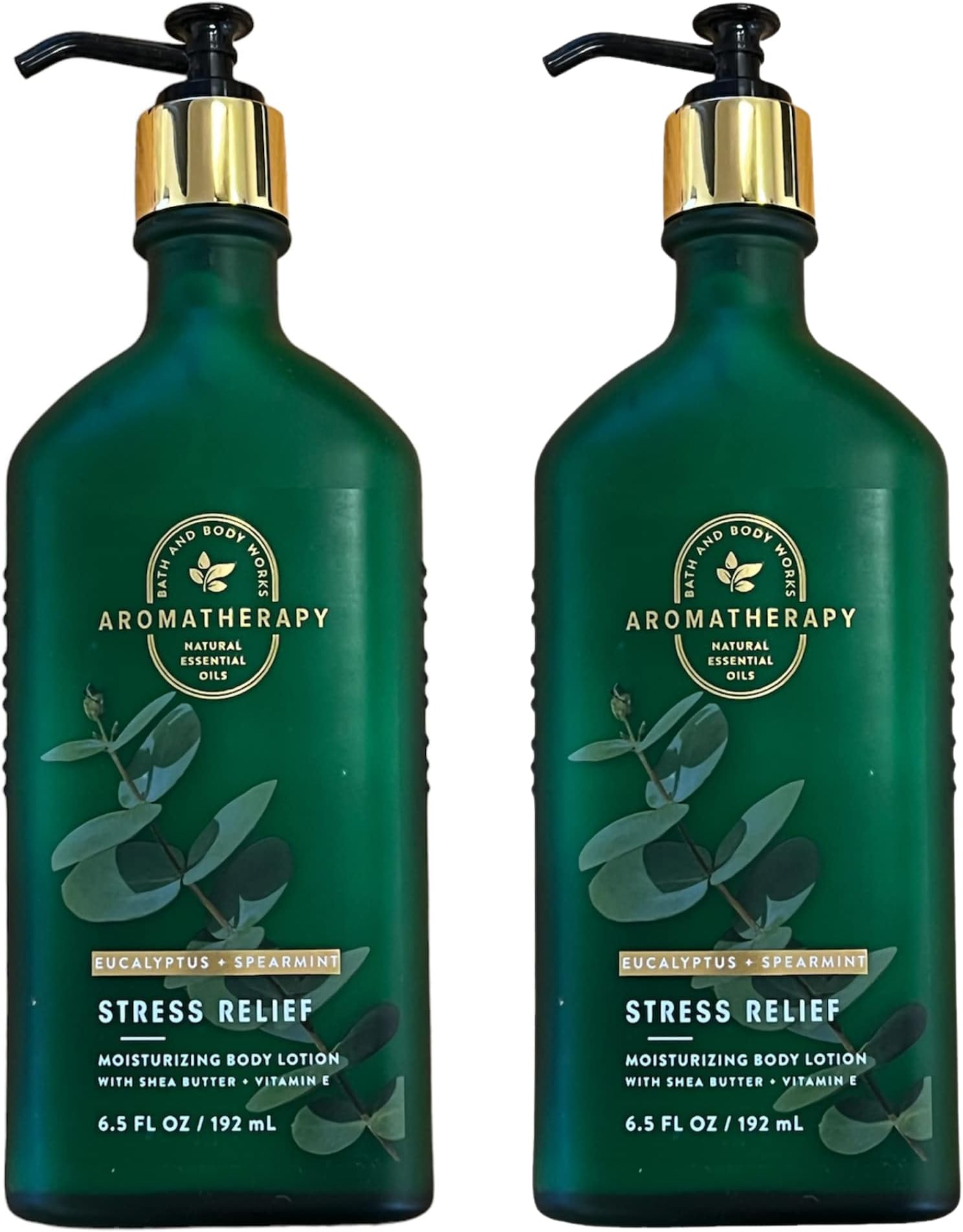 Amazon.com : Bath and Body Works Breathe Deep Eucalyptus Lavender ...