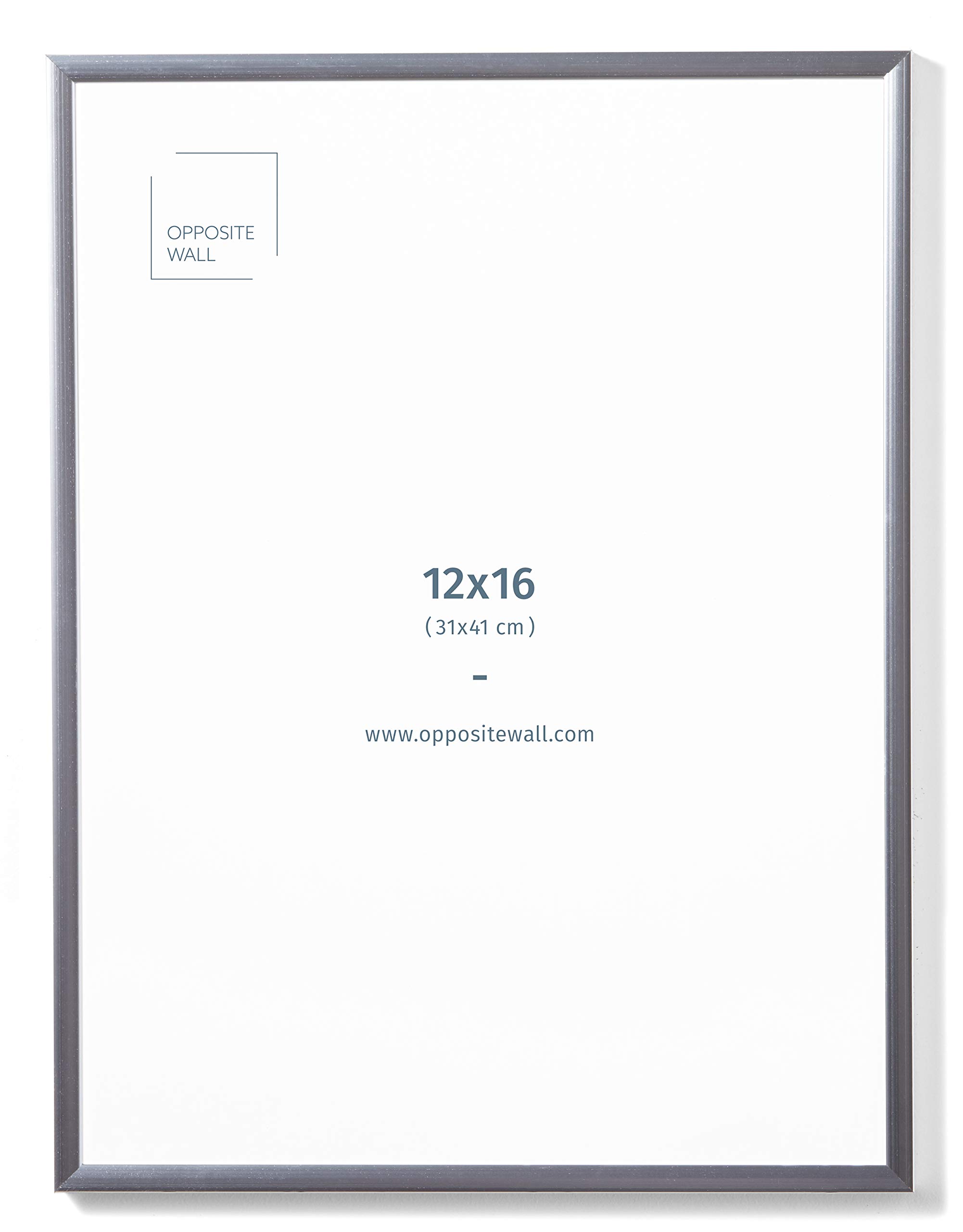 Amazon.com - Opposite Wall Aluminium Metal Picture Frame, 12x16 in ...