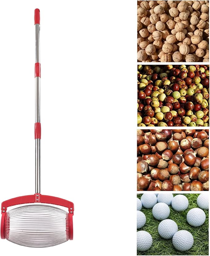 Amazon.com : CHENGUSY Nut Gatherer Adjustable Long Handle Labor Saving ...