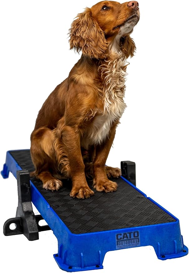 Amazon.com: Cato Board XL - Dog Platform (Blue, with Tilt Stand) : Pet ...