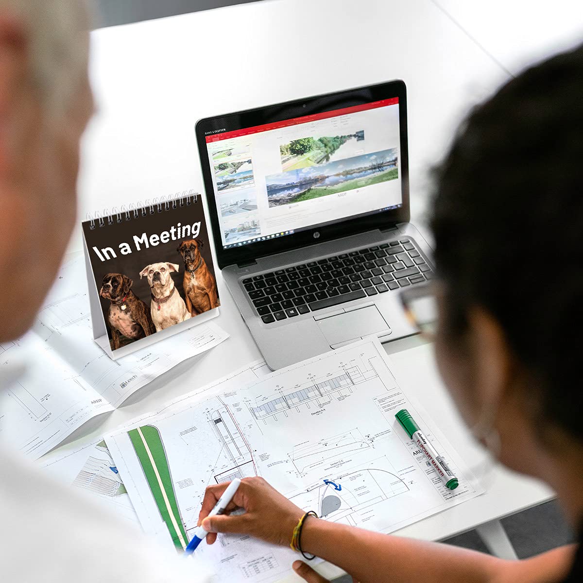 Snapklik.com : Funny Desk Signs For Dog Lovers 30 Different Fun And ...