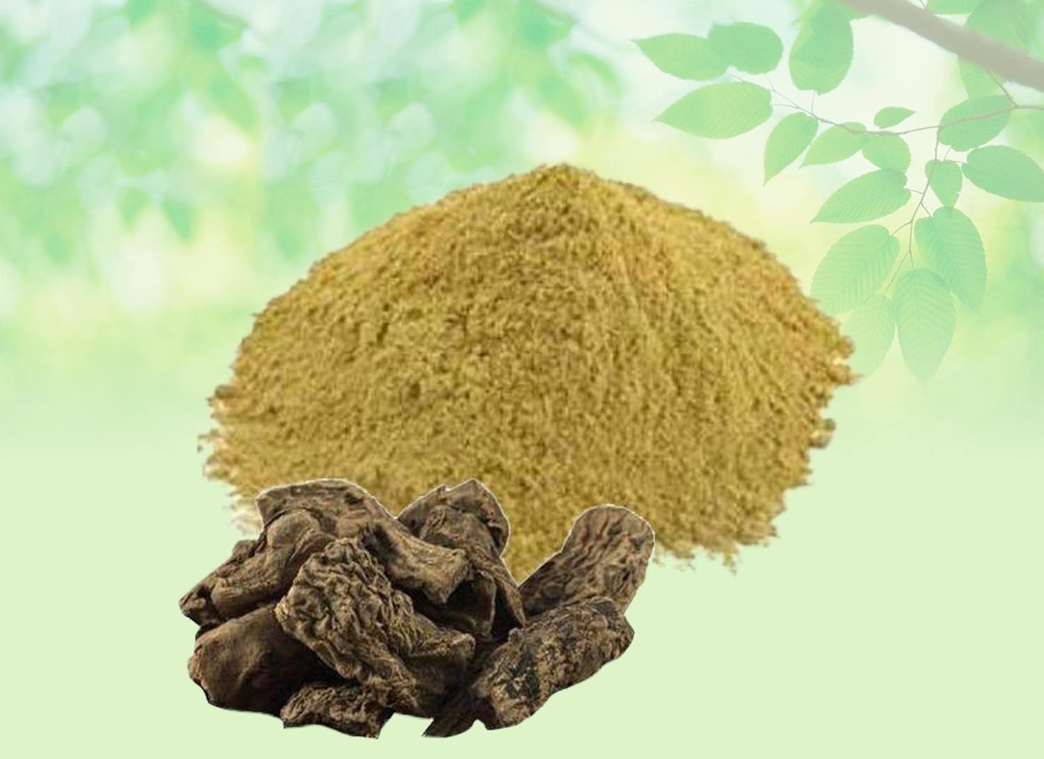Buy Pashan bhed Lakdi Powder- Pakhanved Jadd -Raw Herbs- Pashan Bhed ...