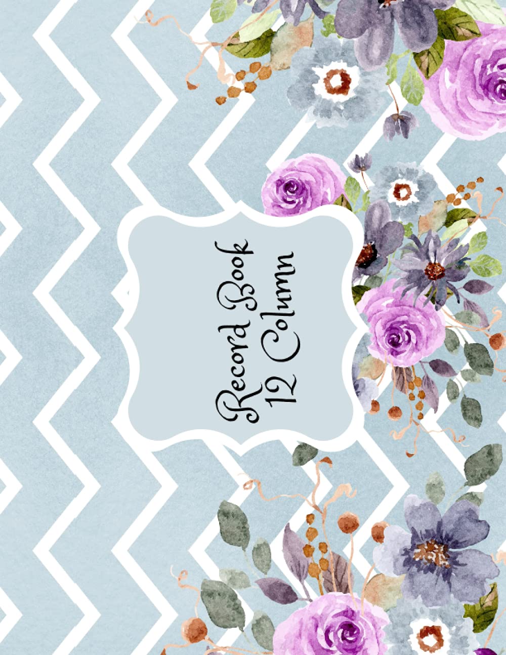 Amazon.com: Record Book 12 Column: Account Book/Ledger Book/Accounting ...