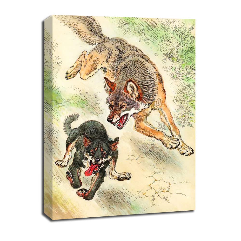 Drawings Of Wolves Fighting