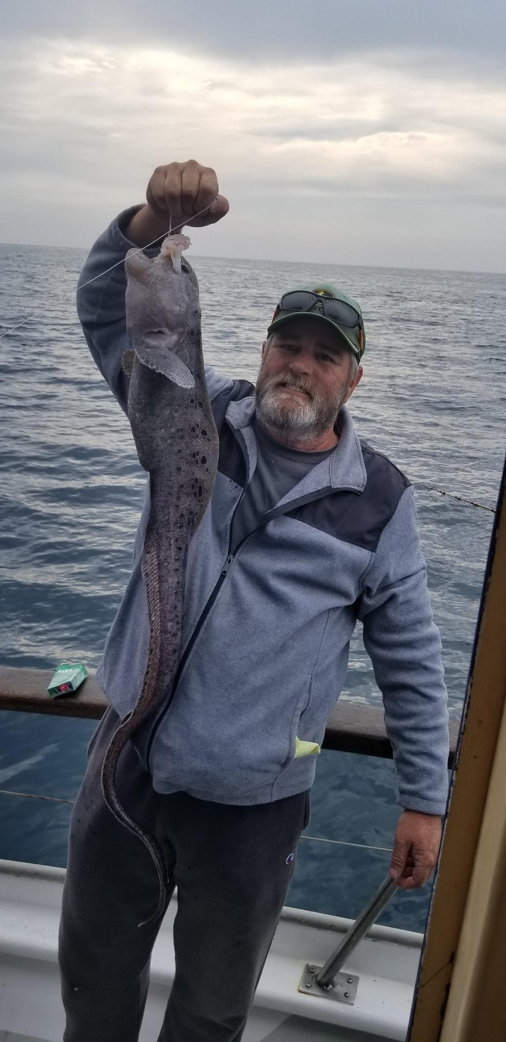 Amazon.com: Vinyl Coated Wire Rope Aircraft Cable, 1/8-Inch Thru 3/16 ...