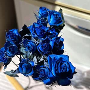 Amazon.co.jp: Rose Dyeing Spray Roses, Royal Blue, 5 Pieces (1) : DIY ...