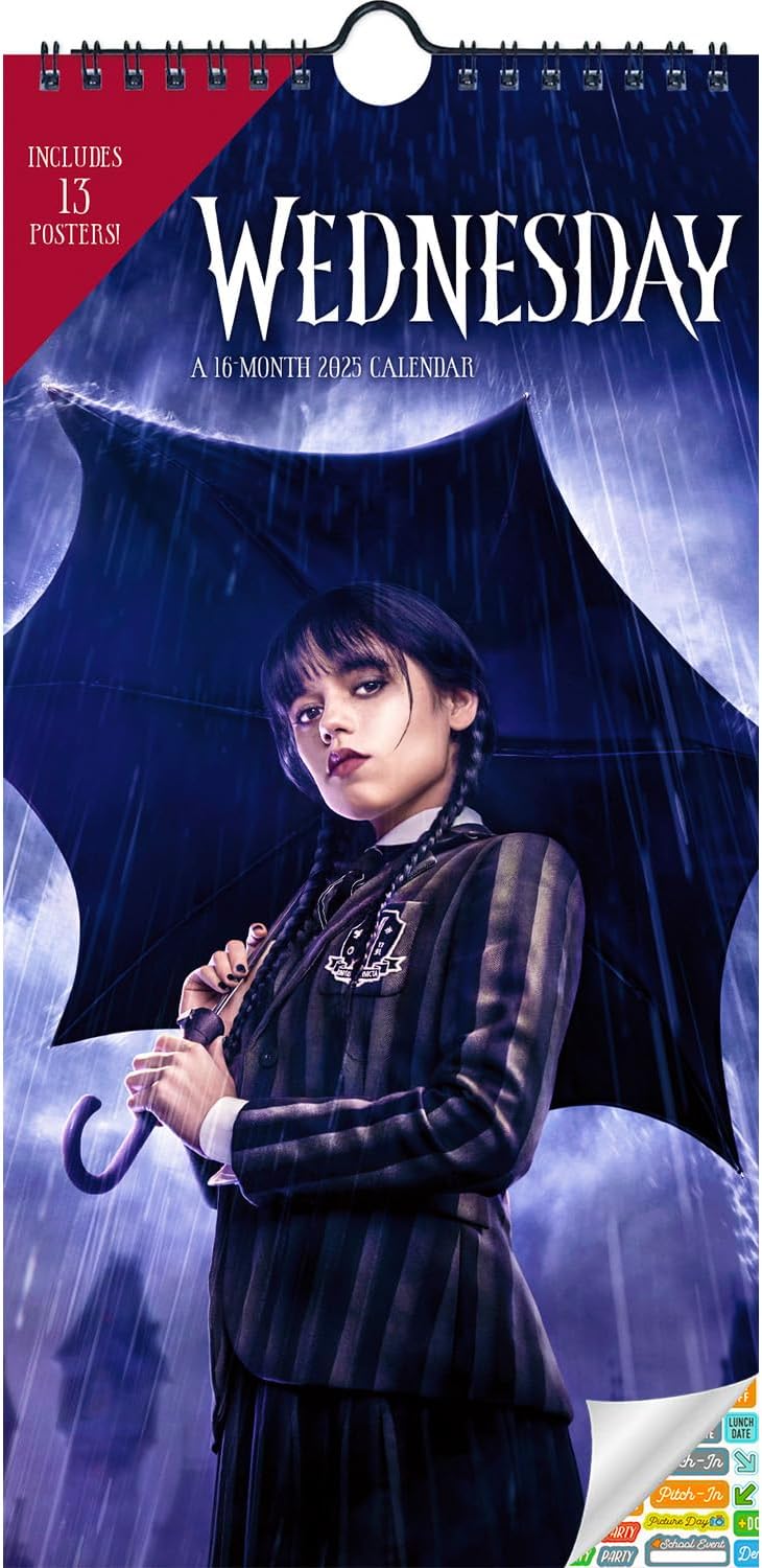 Amazon.com: Wednesday Calendar 2025 - Deluxe 2025 Addams Family Mini ...