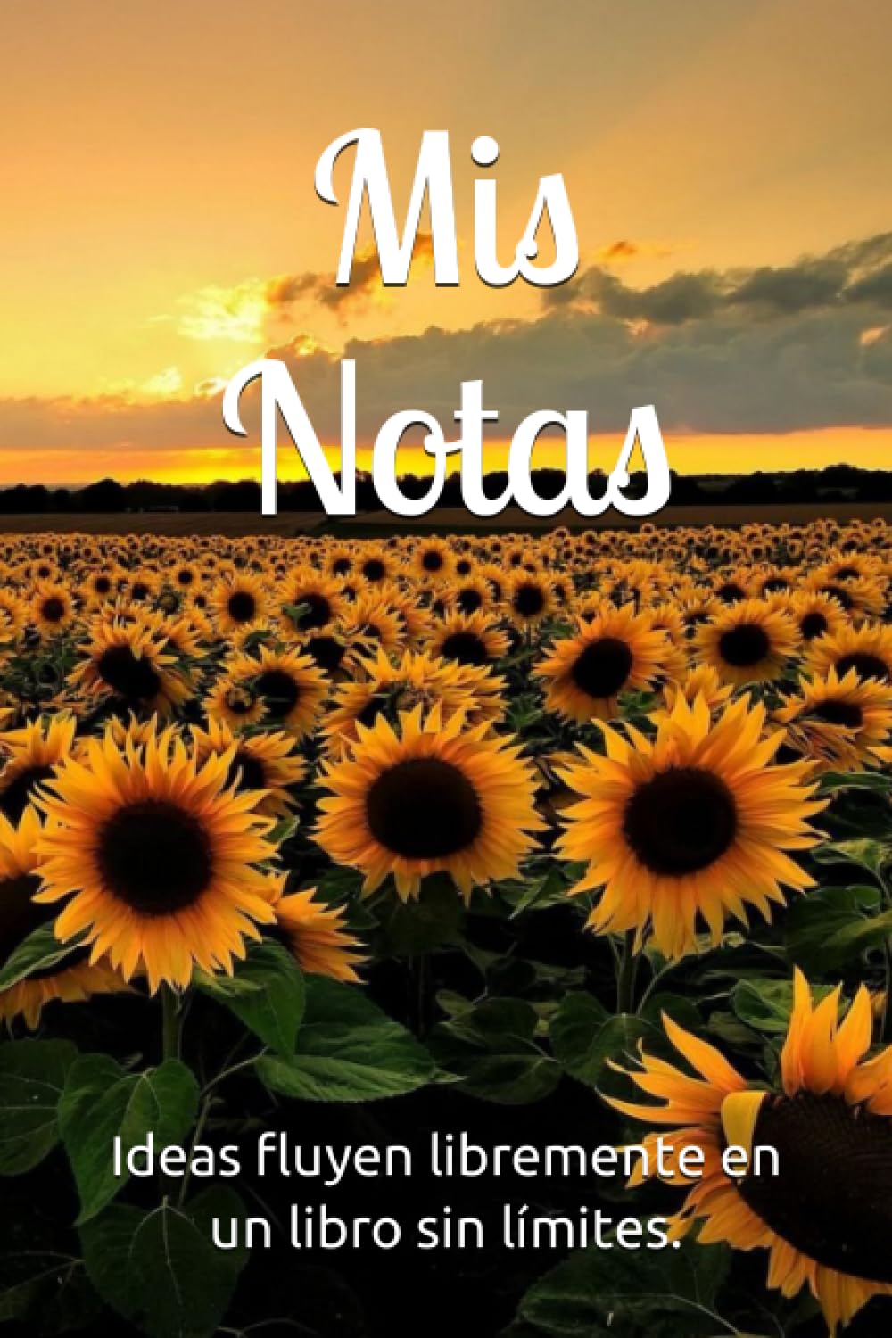 Mis notas: Libro en blanco para anotaciones | Block de notas ...