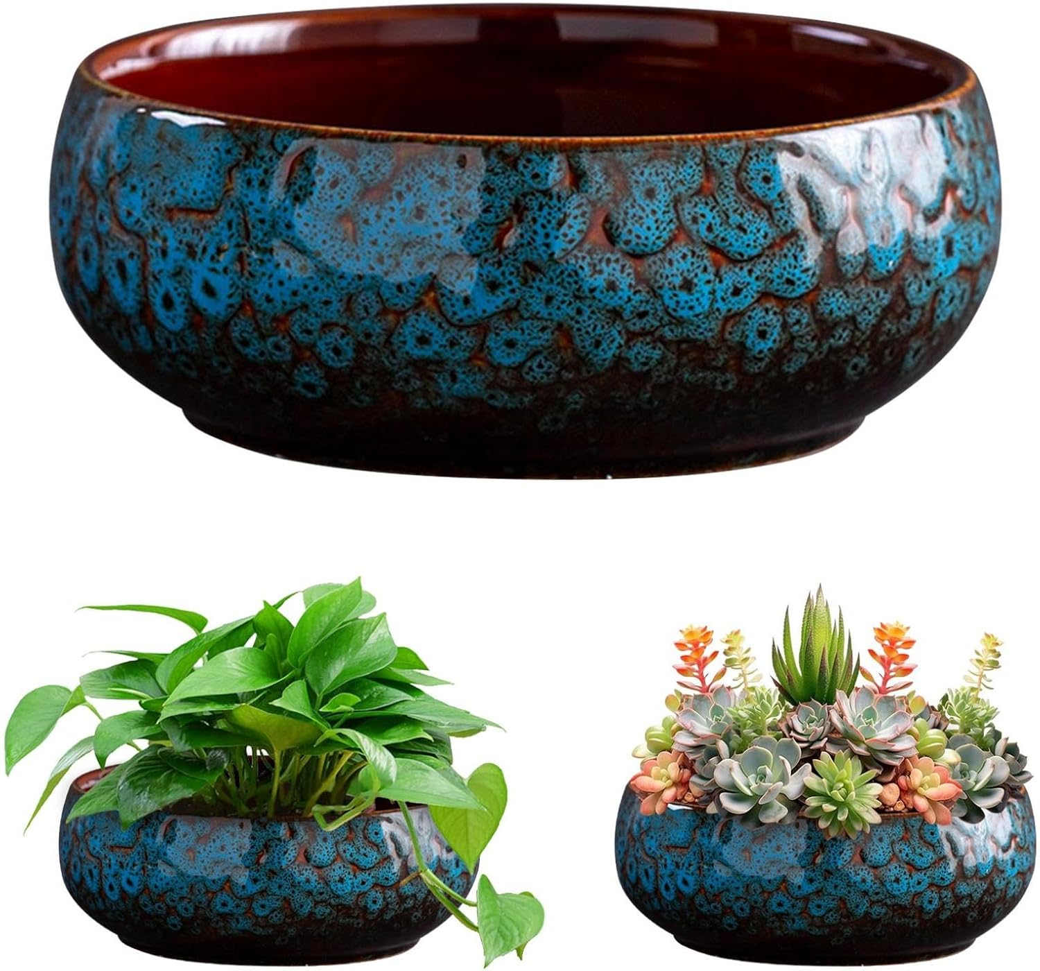 Amazon.com : Lotus Bowl Planter, Lotus Bowls for Planting in Water ...