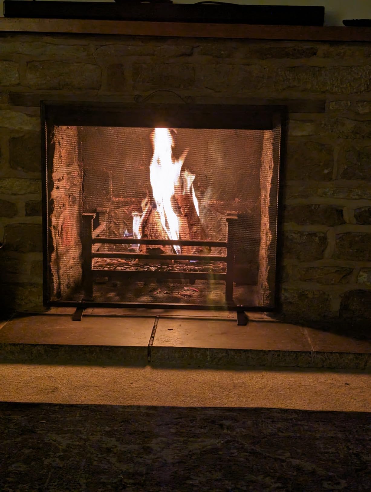 Spark Guard 73cm x 76cm Single Panel Fire Guard Fire Place Guard Fire ...