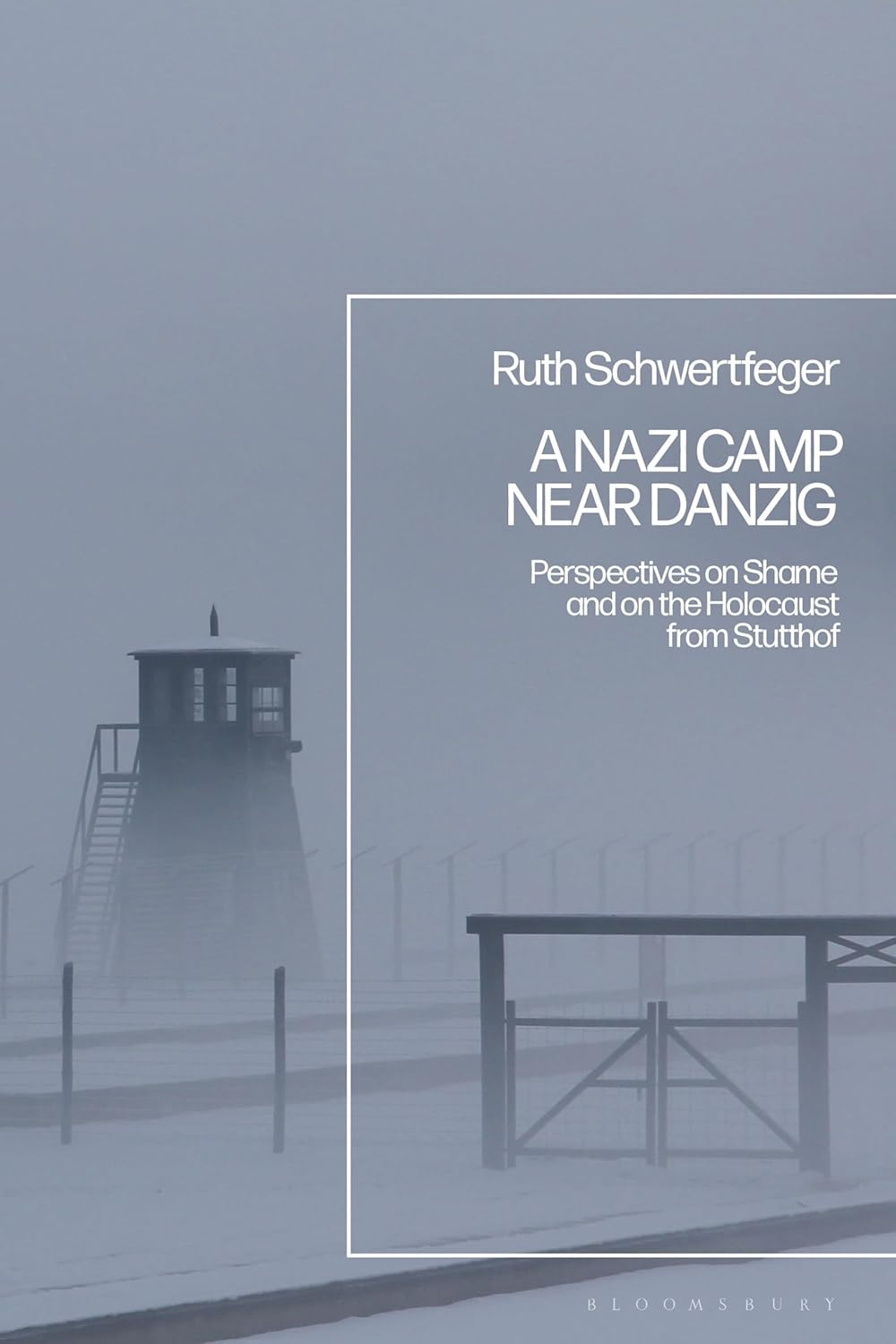 Nazi Camp Near Danzig, A: Perspectives on Shame and on the Holocaust ...