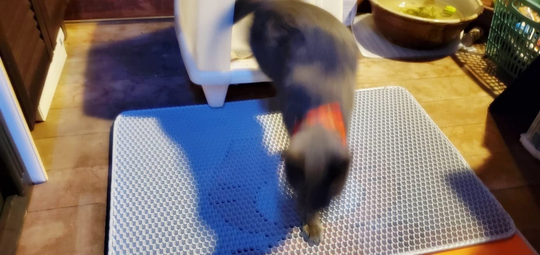 Amazon.co.jp: Norvy 猫砂マット大サイズ 75 × 55 cm 完全に開いた 猫マット 猫砂取りマット 蜂房の設計 猫マット ...