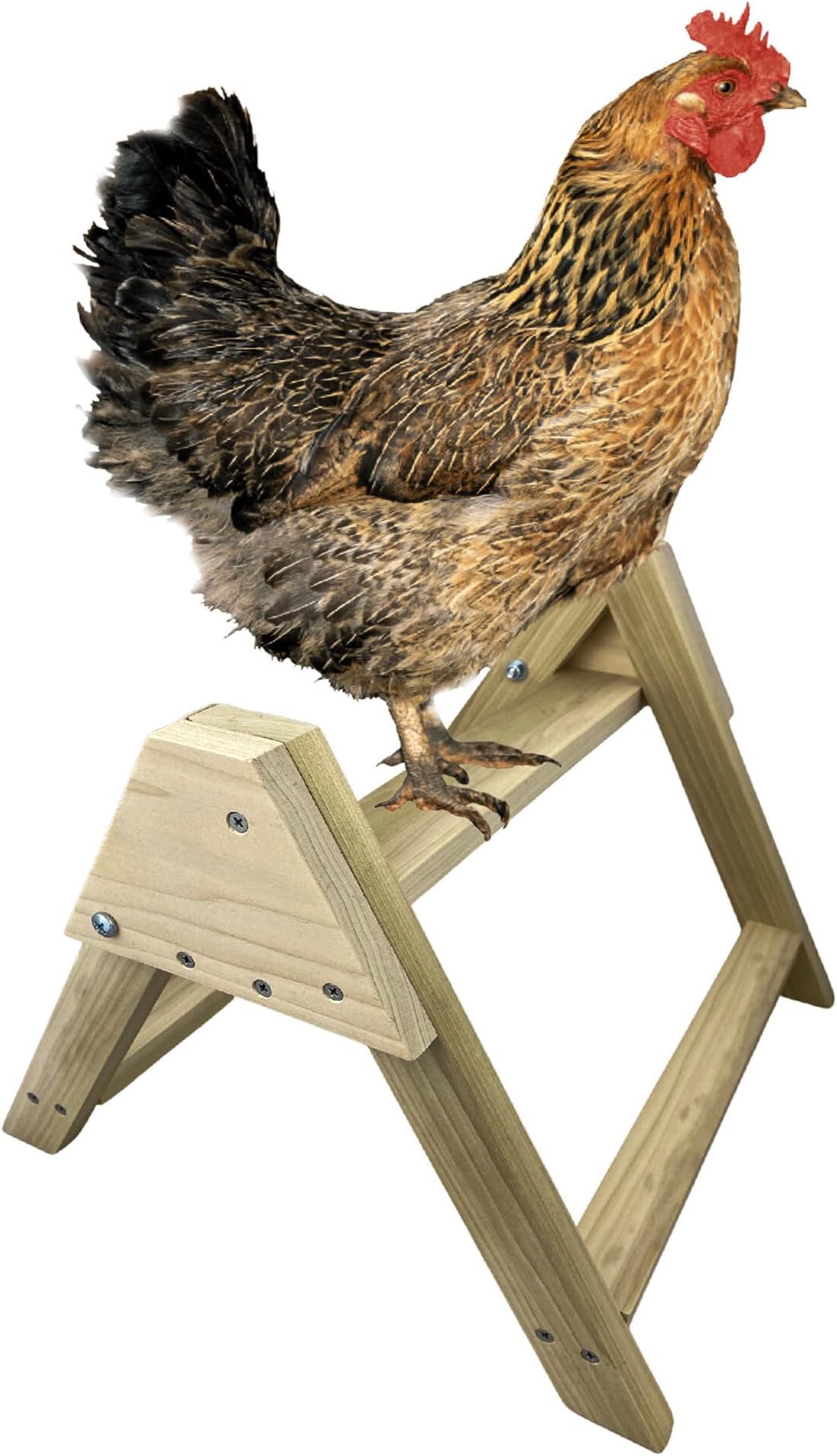 Amazon.com: RITE FARM PRODUCTS 30 INCH 3 BAR Perch Chicken COOP ...