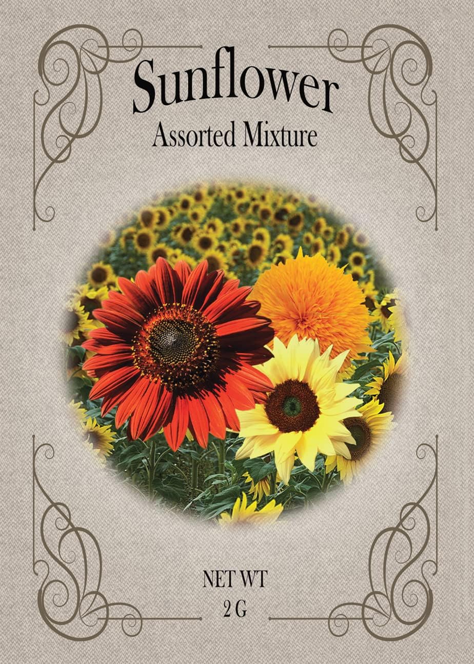 Amazon.com : Set of Mixed Sunflower Seed Packets - Create Your Dream ...
