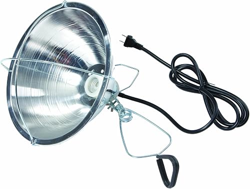 Little Giant Brooder Reflector Lámpara de Calor para Pollitos 105 ...
