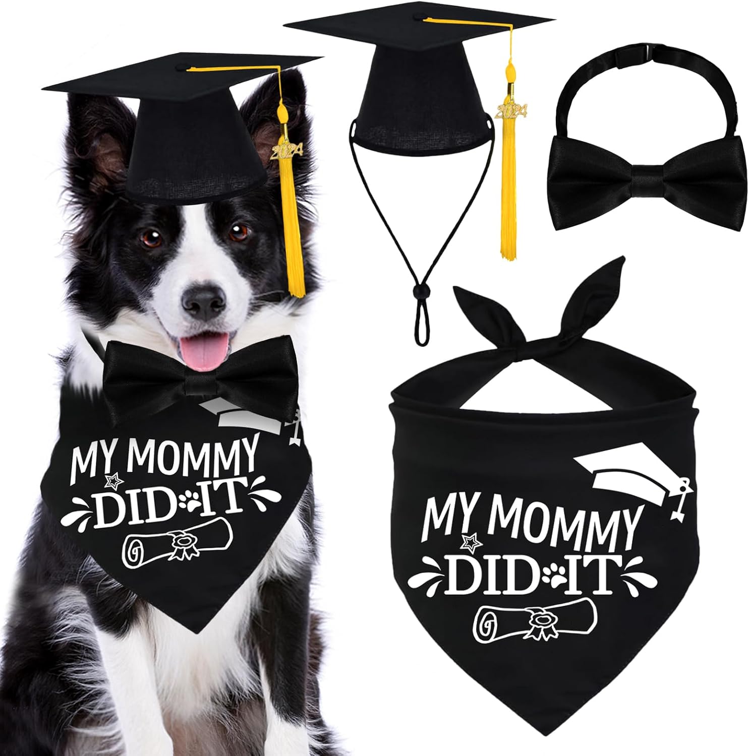 Amazon.com : 2024 Dog Graduation Cap and Gown with 2024 Gold Tassel for ...