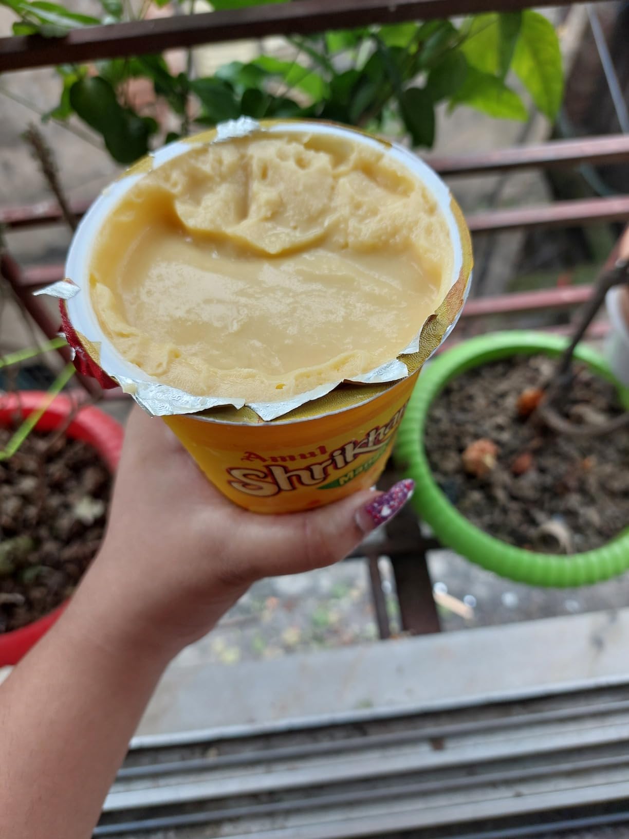 Amul Shrikhand Mango, 500 g Box : Amazon.in: Grocery & Gourmet Foods