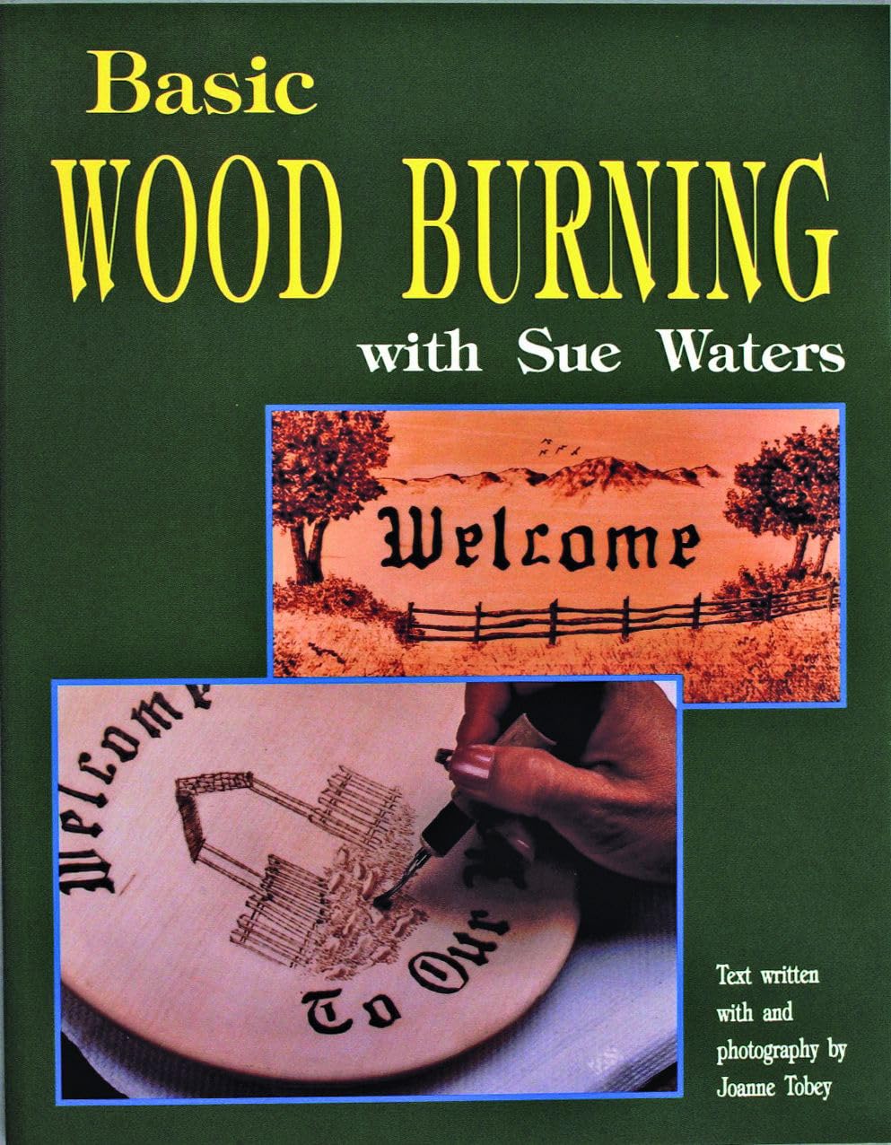 Basic Wood Burning: Waters, Sue: 9780887405686: Amazon.com: Books