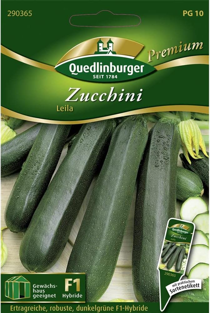 Zucchini Leila – Cucurbita Pepo L. QLB Premium Seed Courgette : Amazon ...
