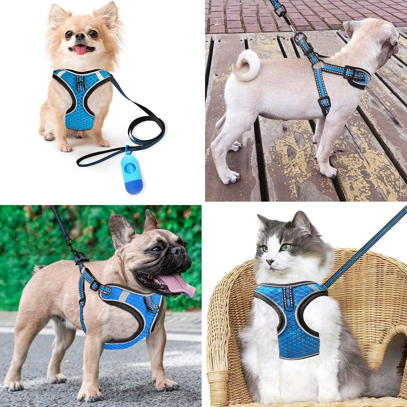 Btromeshy Step-in Dog Harness,Small Dog Harness and Leash Set,Adjustable 3M Reflective Pet Dog ...