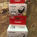 Amazon.com: Canon PG-245 XL High Capacity Black Ink Cartridge (8278B001) CL-246 Color Ink ...