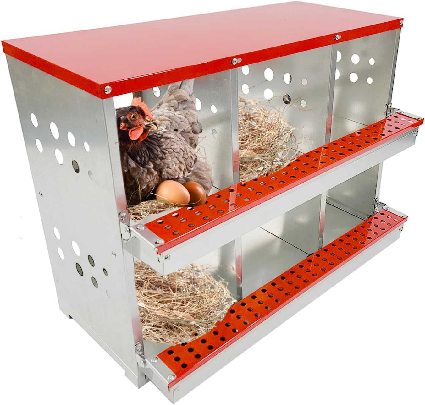 Amazon.com: Gribouillage Nesting Boxes, 6 Hole Chicken Nesting Box for ...
