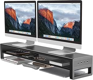 Amazon.com: 2 Tiers Dual Monitor Stand with 4 USB 3.0 Hub Ports, Double ...