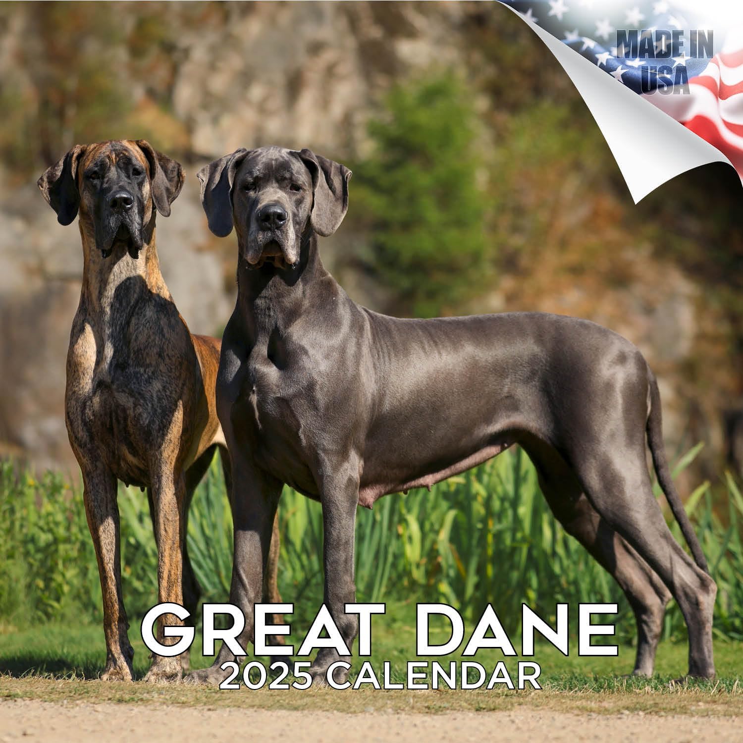 Amazon.com : 2024 2025 Great Dane Calendar - Dog Breed Monthly Wall ...