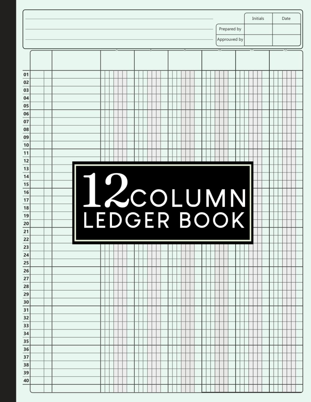 12 Column Ledger Book: Large Simple Twelve Column for Bookkeeping ...