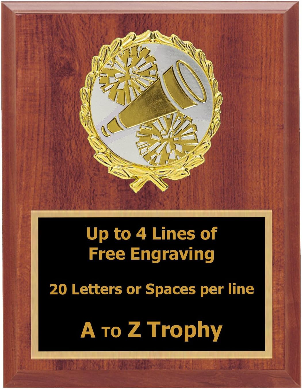 Amazon.com : Trophies Cheerleading Plaque Awards 5x7 Wood Cheerleader ...