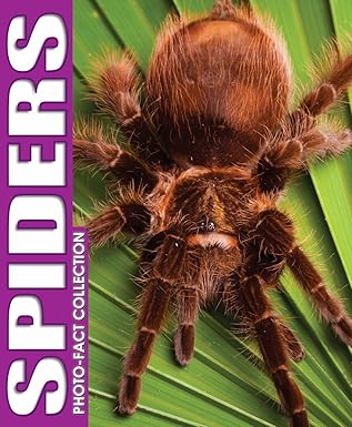 Spiders Photo Fact Collection: Kidsbooks Staff: 9781588656711: Amazon ...