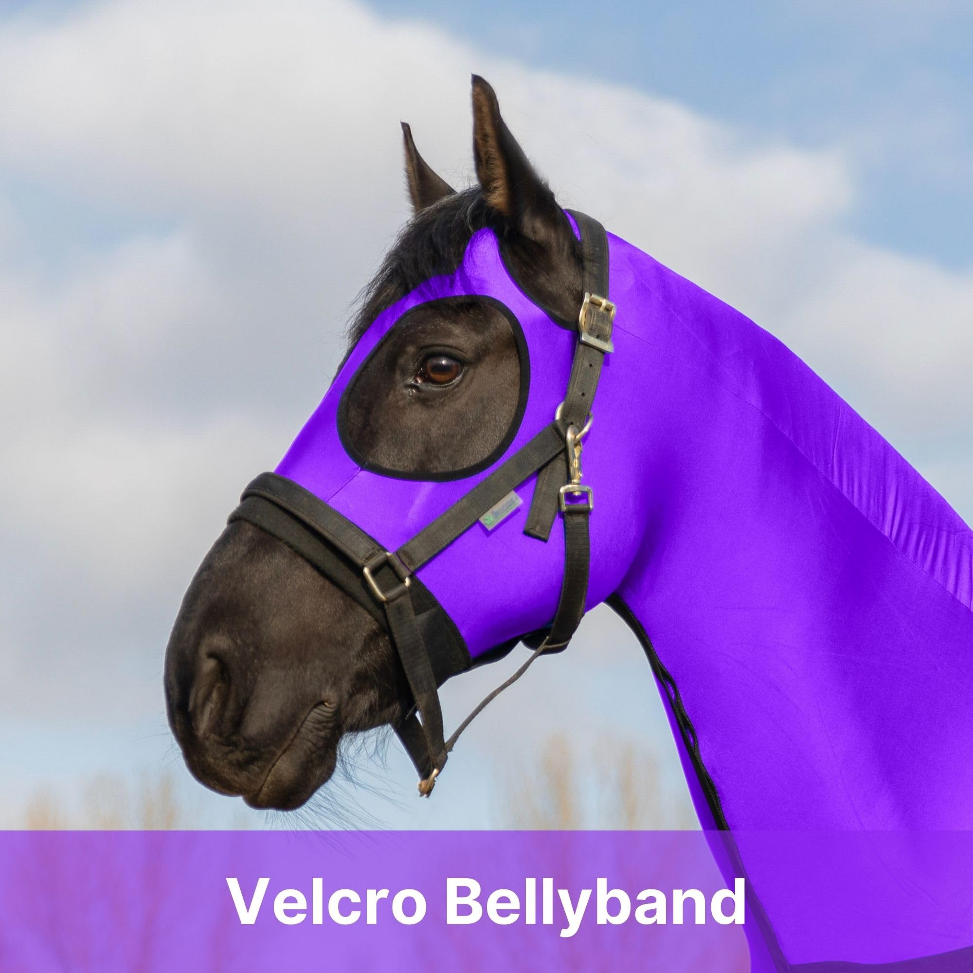 Snapklik.com : RESISTANCE Premium Horse Sleazy Full Body Slicker