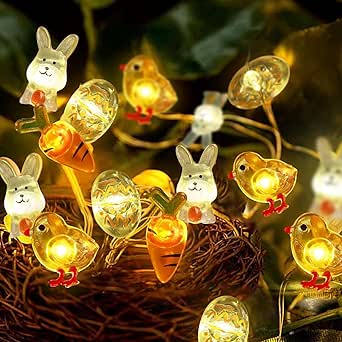 NOJGAC Easter Lights 3M 30 LED, 2 PCS Easter Decoration Lights Warm ...